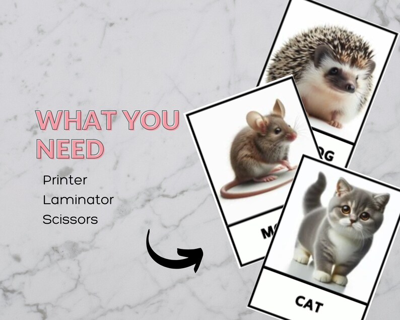 Pet Animal Flashcards Montessori 3 Part Cards Nomenclature Cards ...