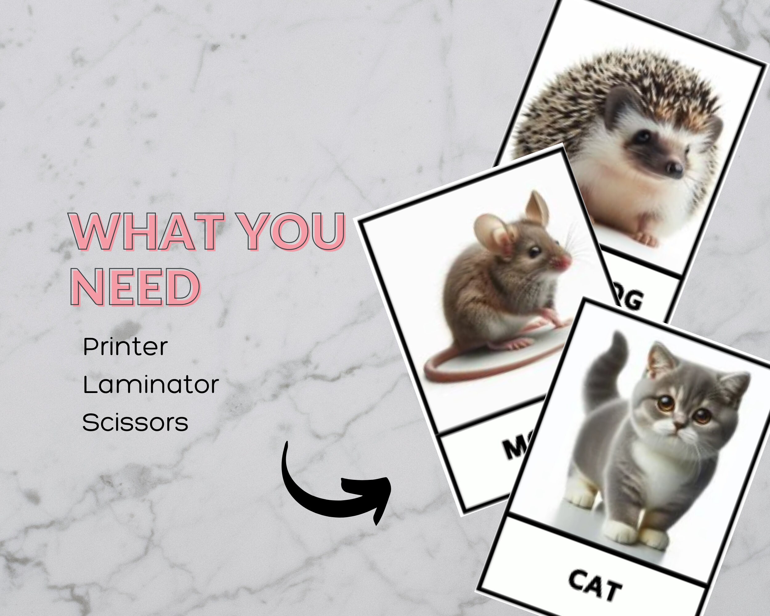 Pet Animal Flashcards Montessori 3 Part Cards Nomenclature Cards ...