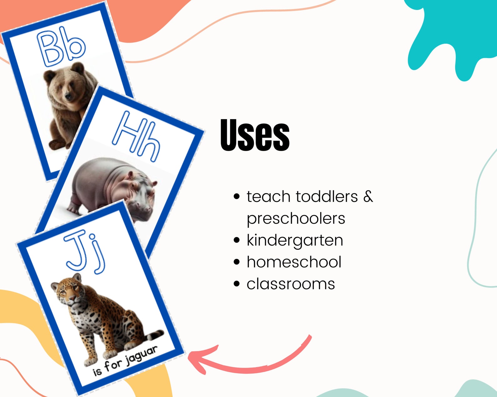 Animal Alphabet Flashcards - Learn Abcs - Real Animal Photos - Toddlers ...