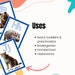 Animal Alphabet Flashcards - Learn Abcs - Real Animal Photos - Toddlers ...