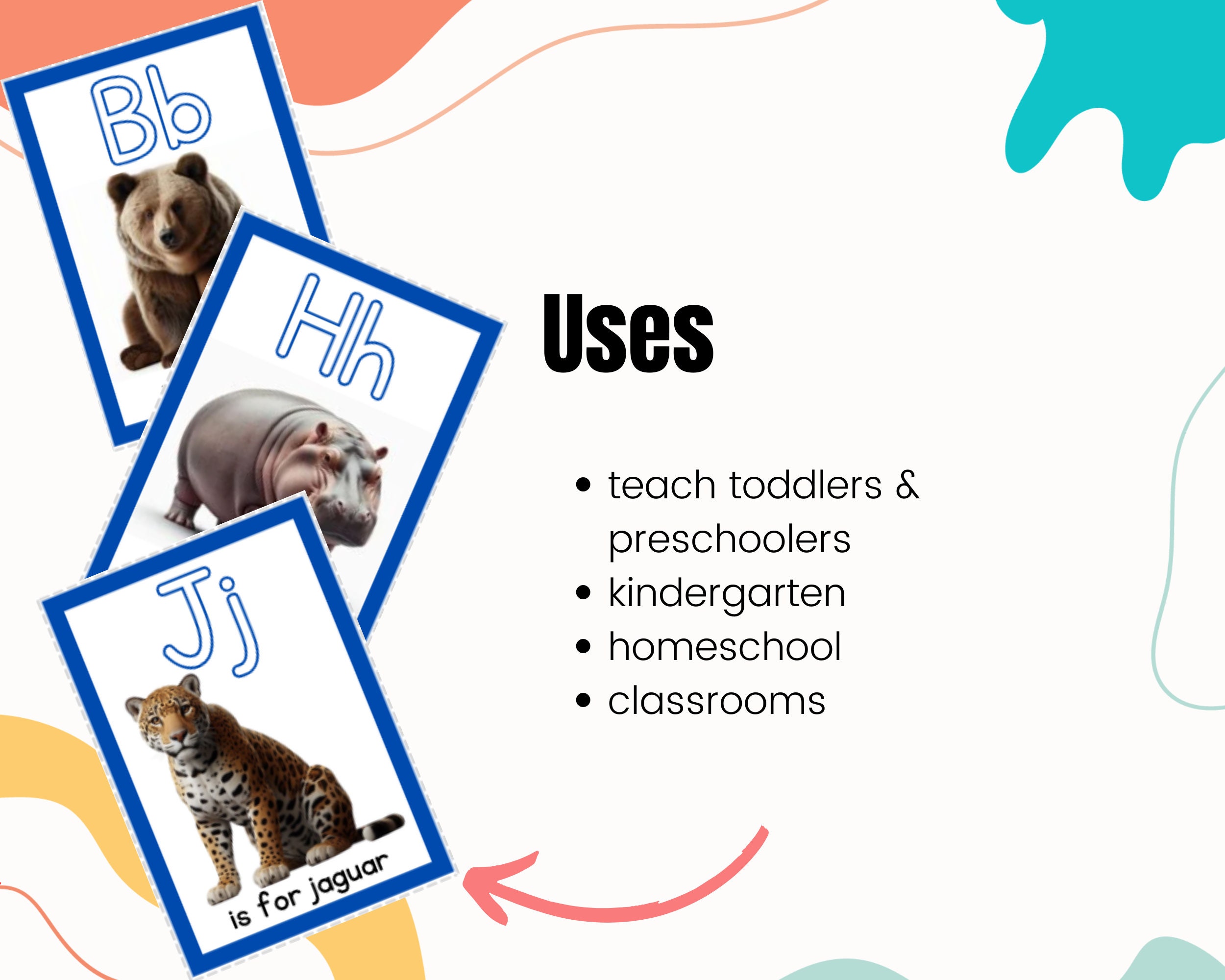 Animal Alphabet Flashcards - Learn Abcs - Real Animal Photos - Toddlers ...