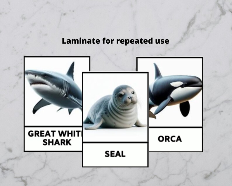 Ocean Animal Flashcards 3 Part Cards Montessori, Toddlers, Preschool ...