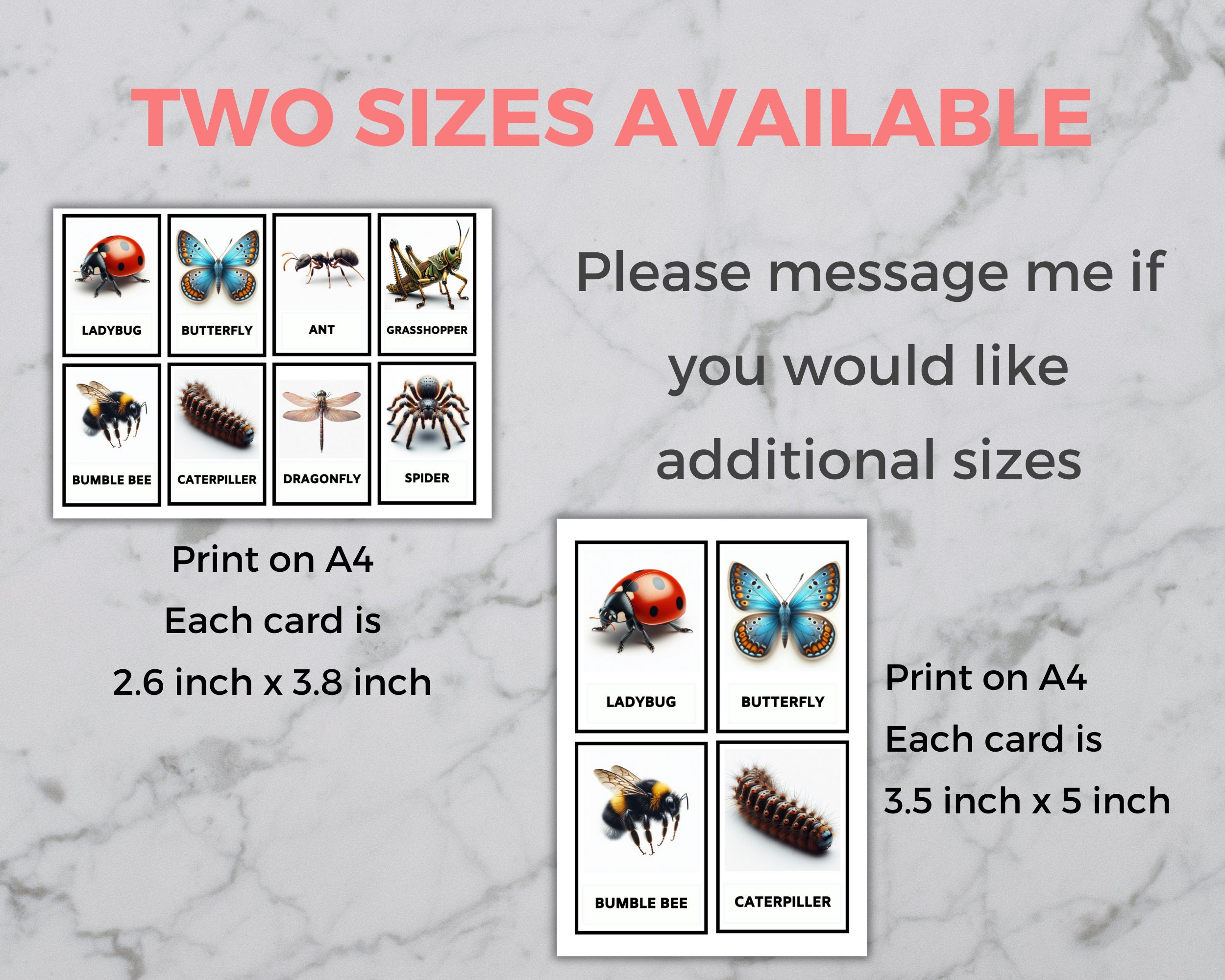 Bug Flashcards - Montessori 3- Part Cards - Nomenclature Cards ...