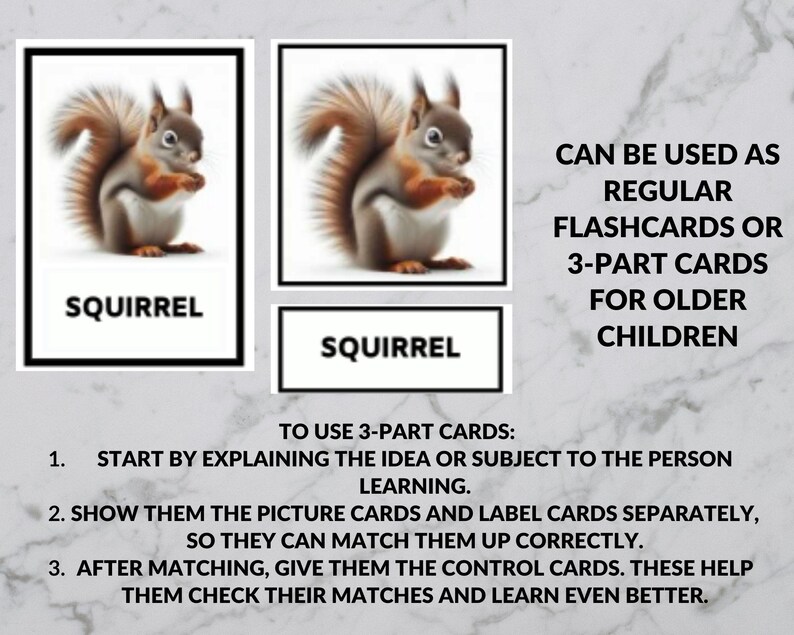 Forest Animal Flashcards - Real Pictures Woodland Creatures 3 Part ...