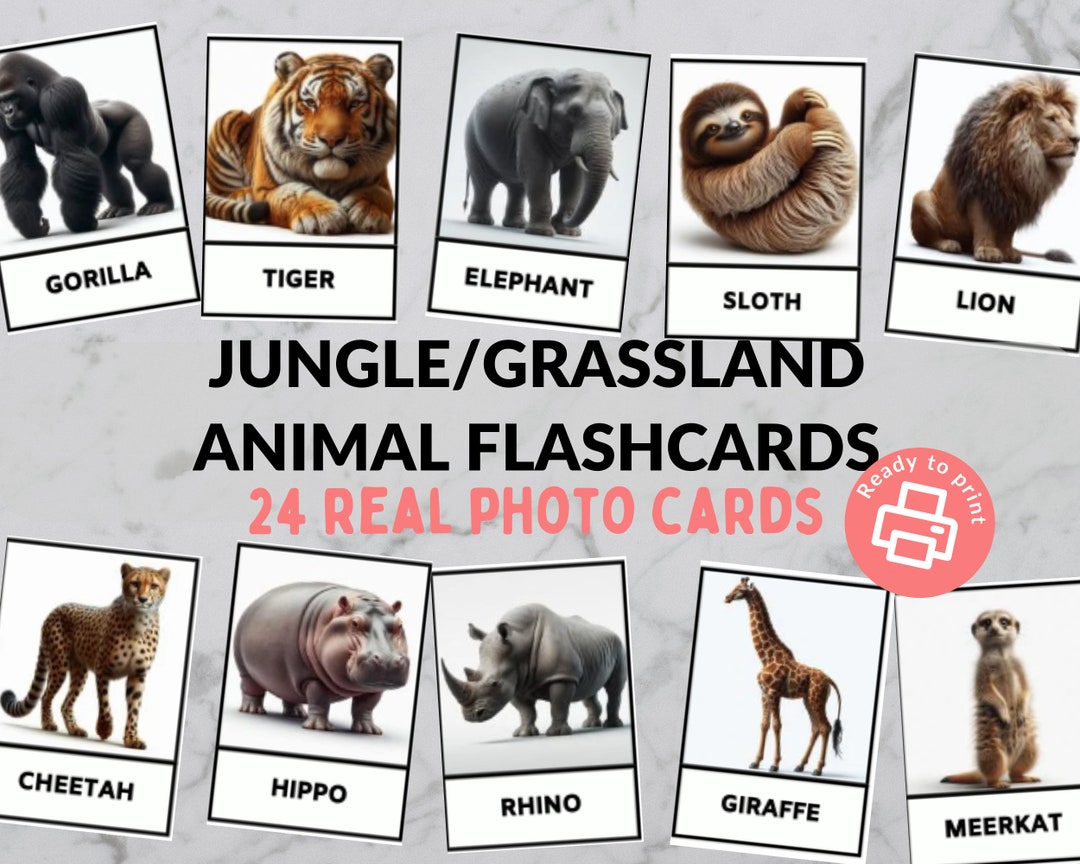 Jungle / Grassland Animal Flashcards Montessori 3 Part Cards ...