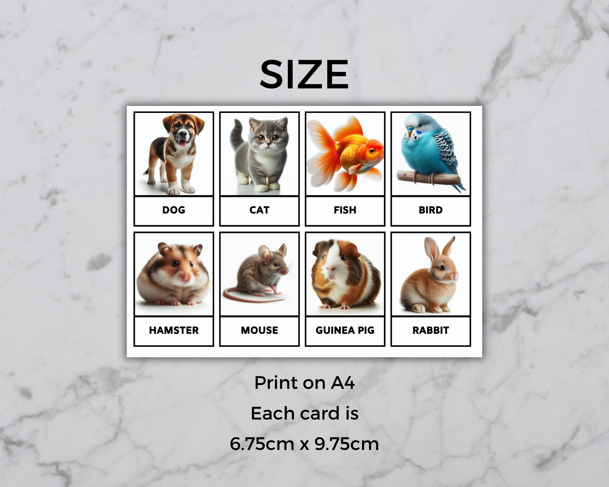 Pet Animal Flashcards Montessori 3 Part Cards Nomenclature Cards ...