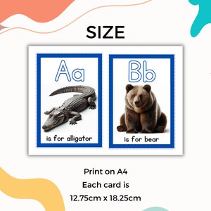 Animal Alphabet Flashcards - Learn Abcs - Real Animal Photos - Toddlers ...