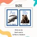 Animal Alphabet Flashcards - Learn Abcs - Real Animal Photos - Toddlers ...