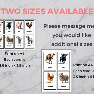 Farm Animal Flashcards Montessori 3 Part Cards Nomenclature Cards ...