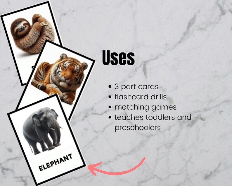 Jungle & Grassland Animal Flashcards: Montessori Nomenclature Cards ...