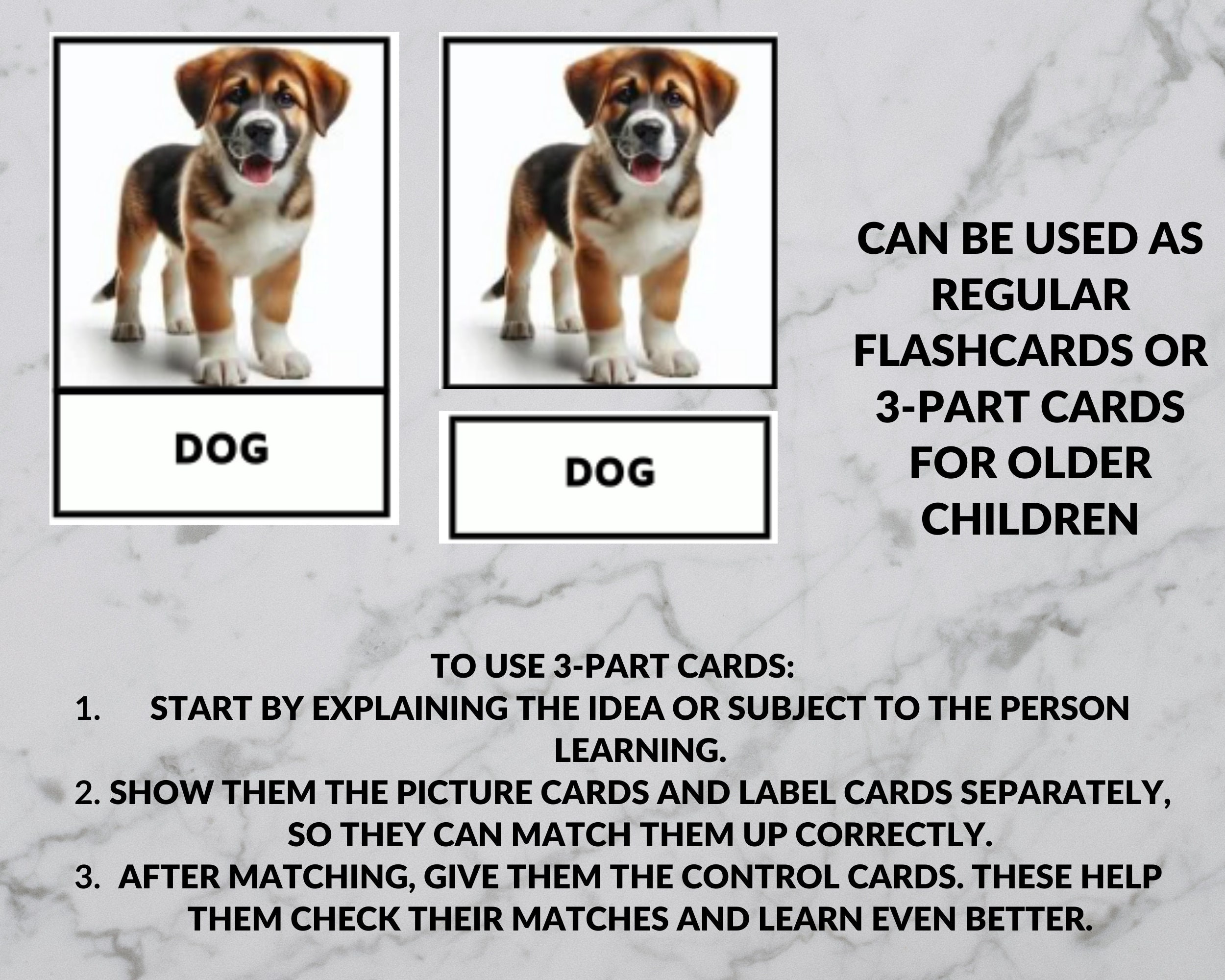 Pet Animal Flashcards Montessori 3 Part Cards Nomenclature Cards ...