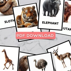 Jungle / Grassland Animal Flashcards - Montessori 3- Part Cards ...