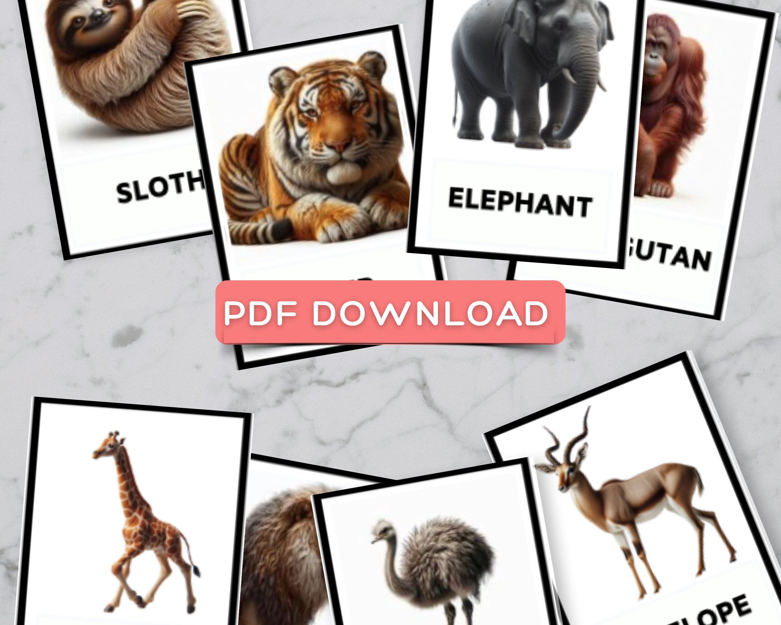Jungle & Grassland Animal Flashcards: Montessori Nomenclature Cards ...