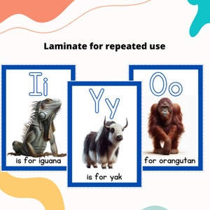 Animal Alphabet Flashcards - Learn Abcs - Real Animal Photos - Toddlers ...