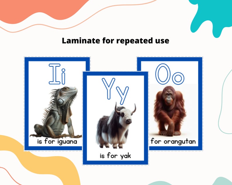 Animal Alphabet Flashcards - Learn Abcs - Real Animal Photos - Toddlers ...