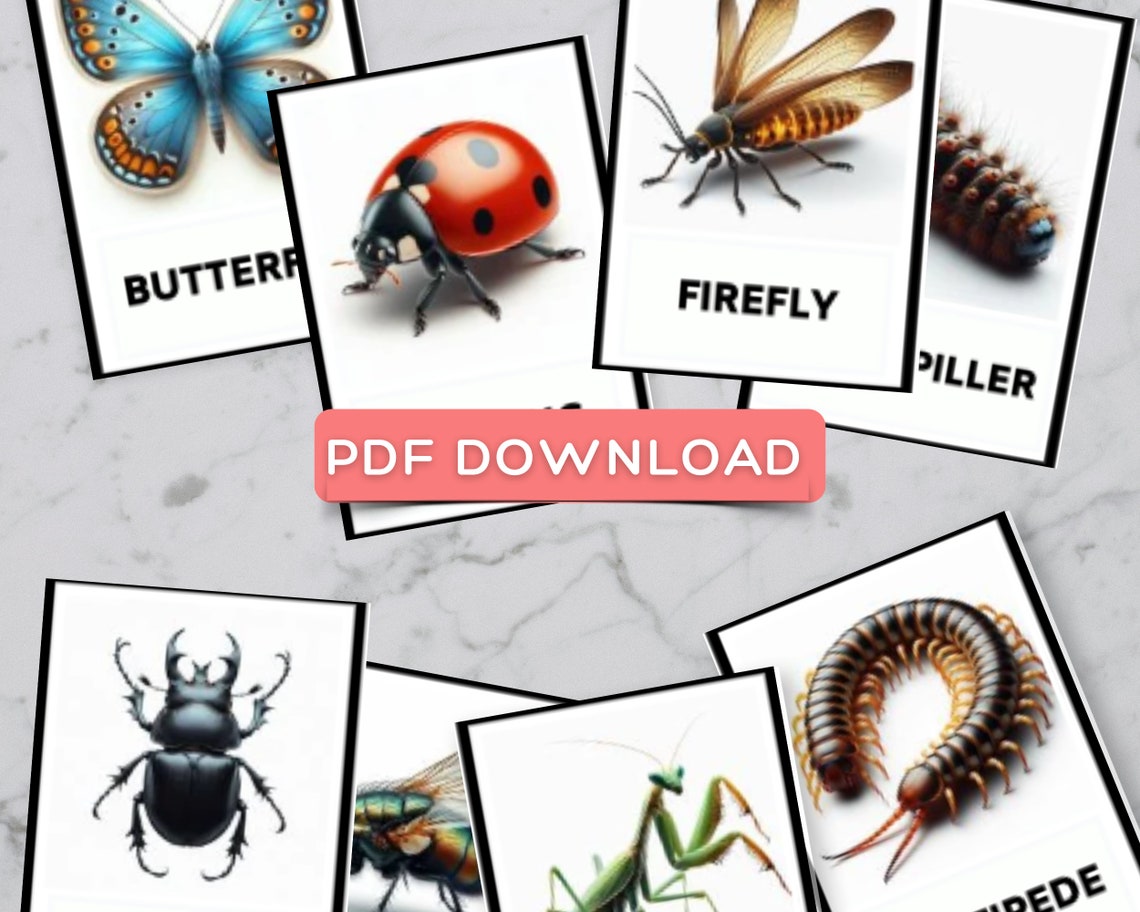 Bug Flashcards - Montessori 3- Part Cards - Nomenclature Cards ...
