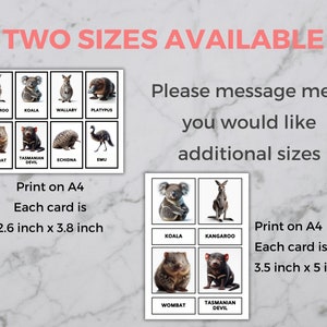 Australian Animal Flashcards - 3 Part Cards - Matching Games - Toddlers ...