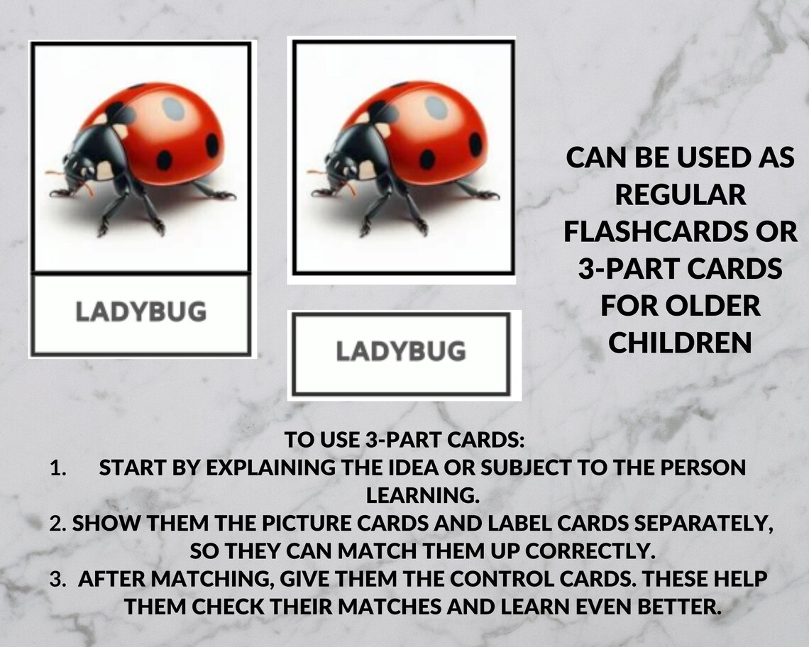 Bug Flashcards - Montessori 3- Part Cards - Nomenclature Cards ...