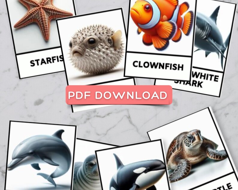 Ocean Animal Flashcards 3 Part Cards Montessori, Toddlers, Preschool ...