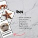 Ocean Animal Flashcards 3 Part Cards Montessori, Toddlers, Preschool ...