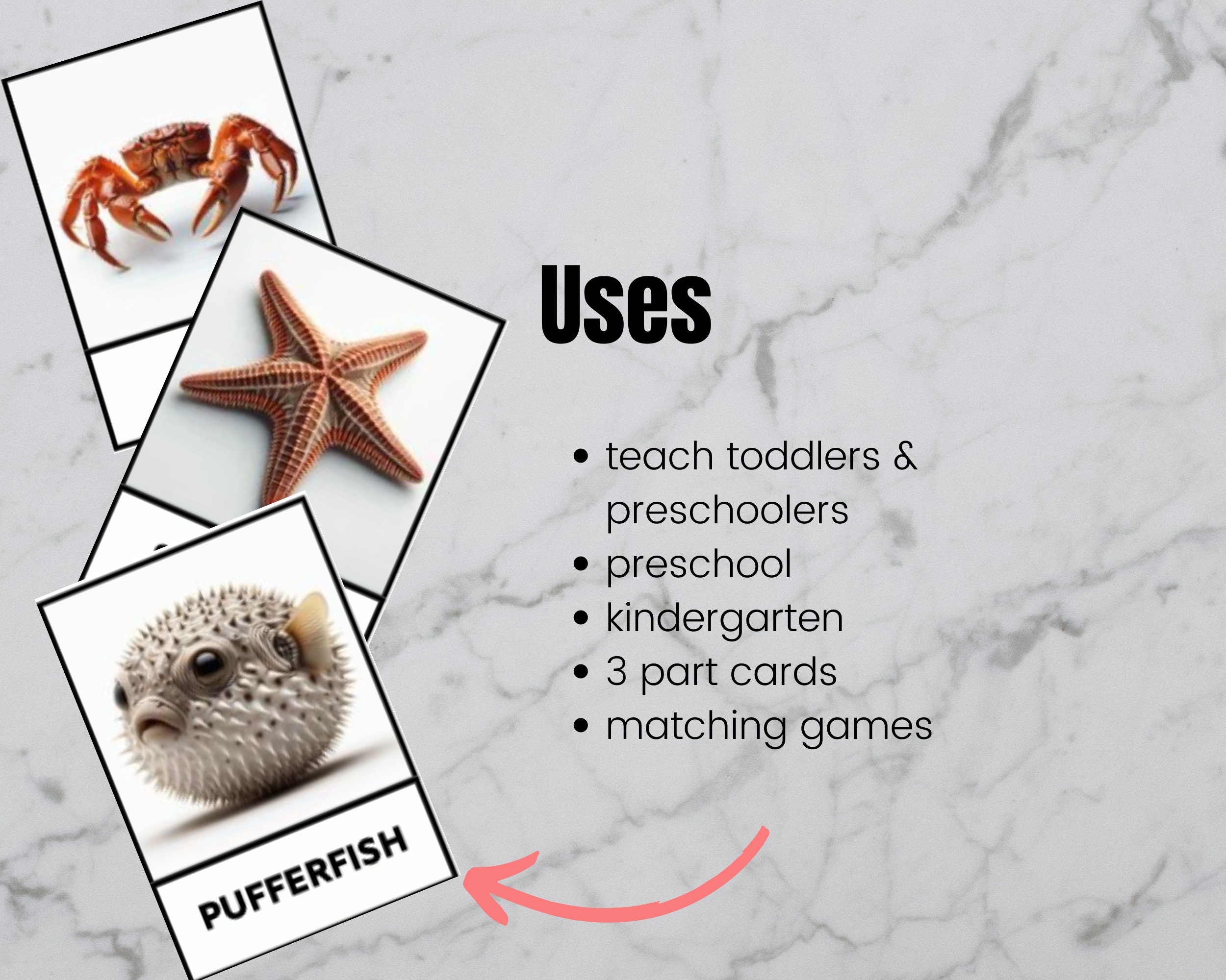 Ocean Animal Flashcards 3 Part Cards Montessori, Toddlers, Preschool ...