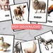 Farm Animal Flashcards Montessori 3 Part Cards Nomenclature Cards ...