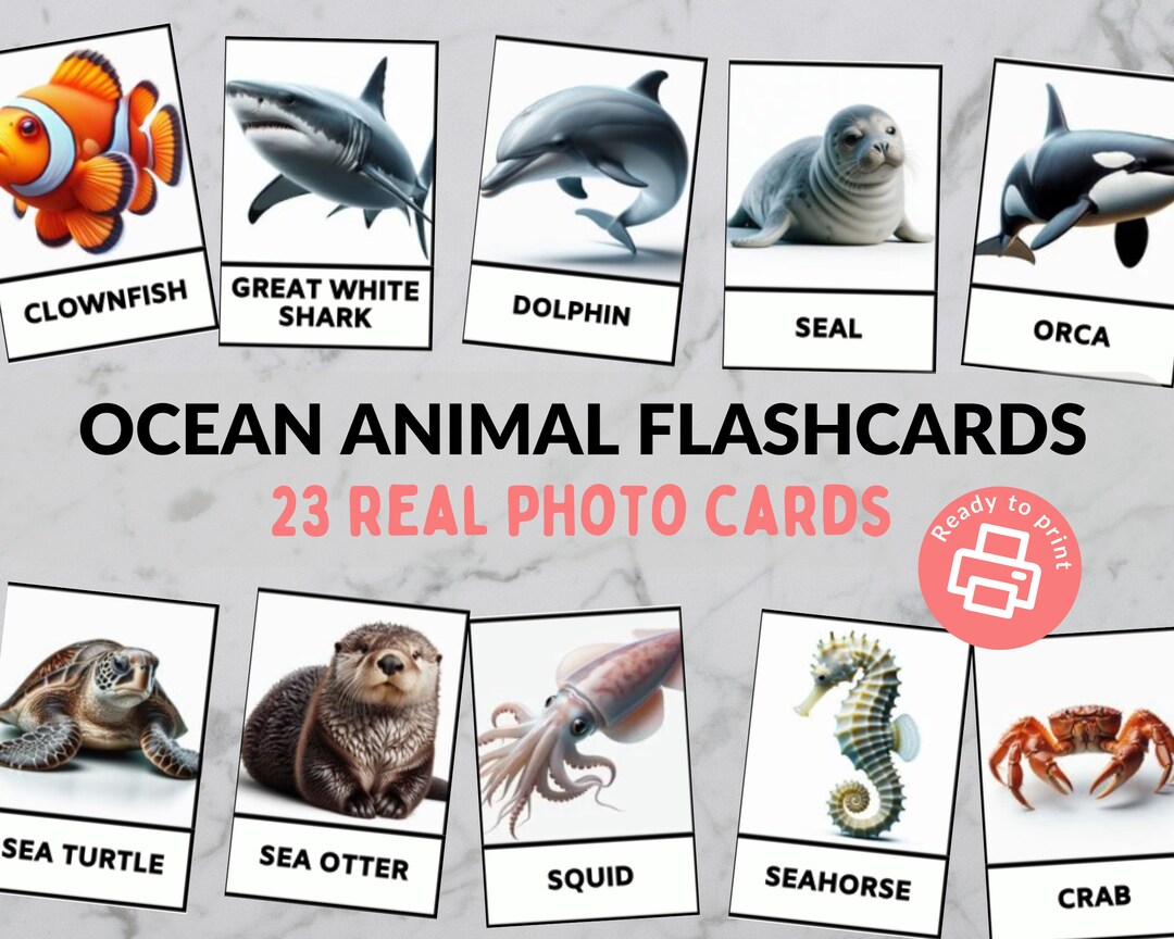 Ocean Animal Flashcards 3 Part Cards Montessori, Toddlers, Preschool ...