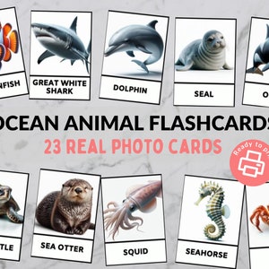 Ocean Animal Flashcards 3 Part Cards Montessori, Toddlers, Preschool ...