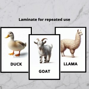 Farm Animal Flashcards - Montessori 3- Part Cards - Nomenclature Cards ...