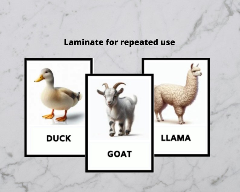 Farm Animal Flashcards Montessori 3 Part Cards Nomenclature Cards ...