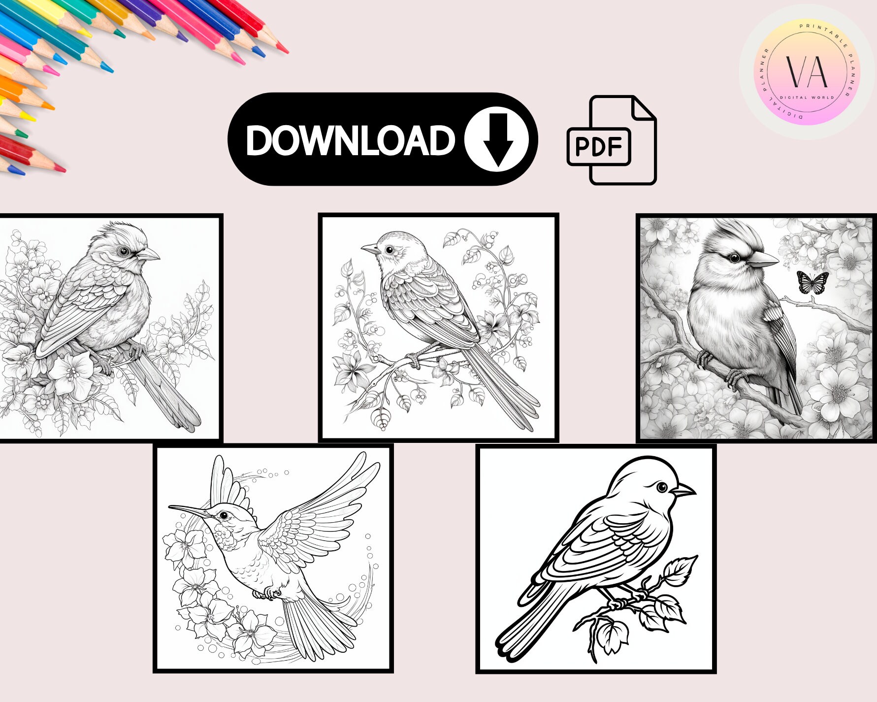 240 ++ Birds Coloring Pages L Coloring Book for Adults Printable L PDF ...