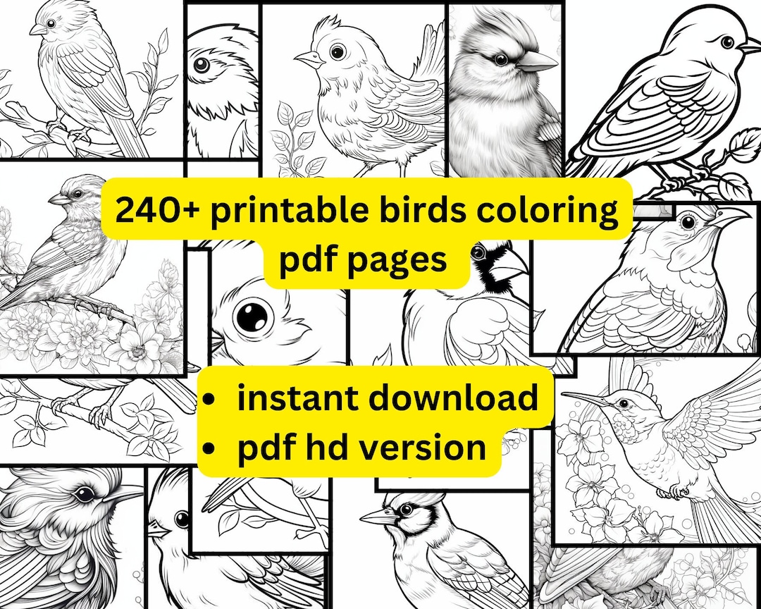 240 ++ Birds Coloring Pages L Coloring Book for Adults Printable L PDF ...