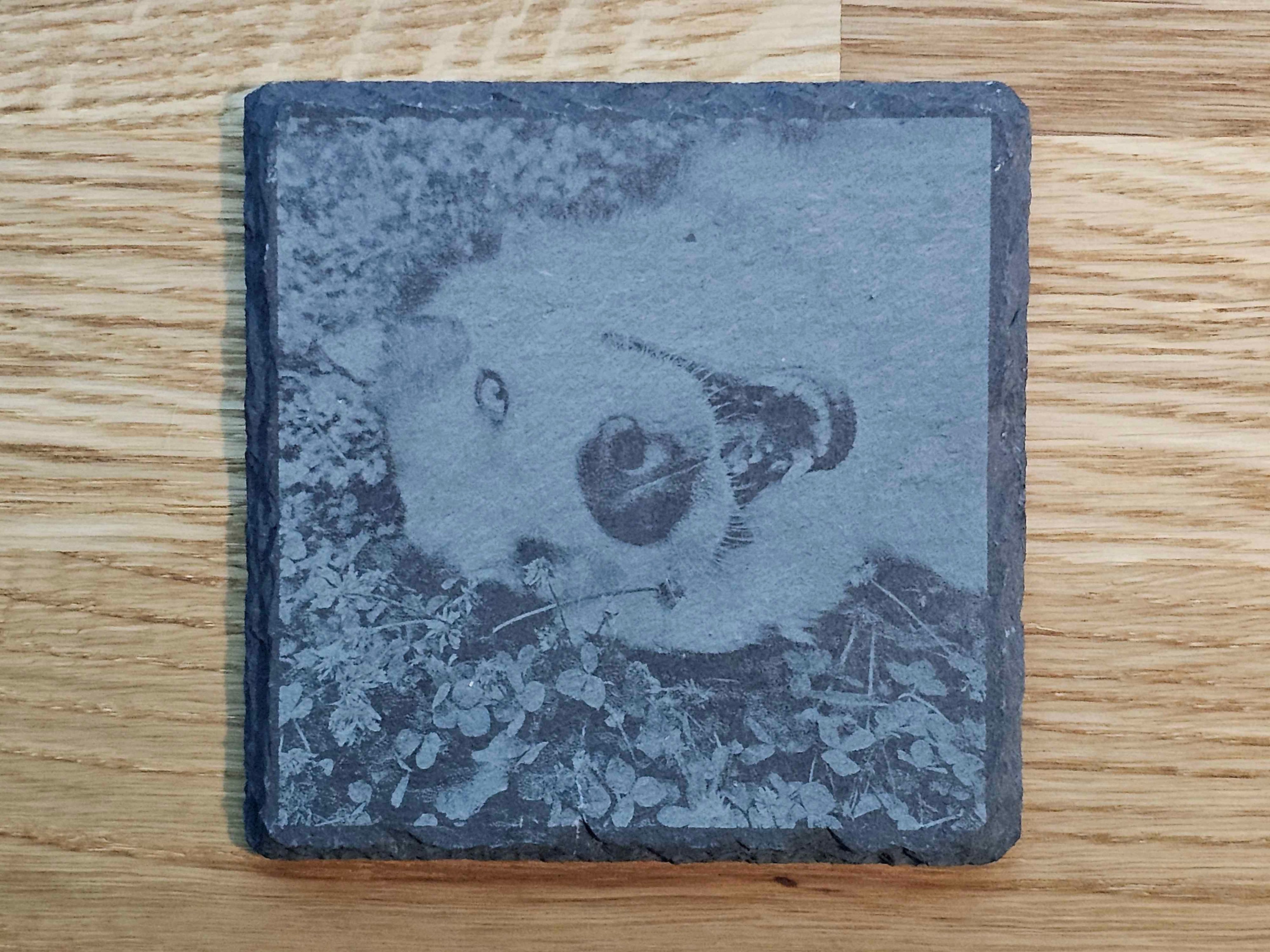 Customized Photo Laser Engraved Slate Coaster - Etsy