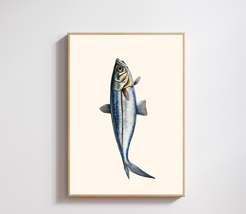 Set of 4 SARDINES Art Print - Sardine Print - Sardine Plate - Sardine ...