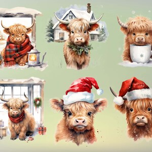 Watercolor Christmas Highland Cows Clipart Bundle - 20 PNG Graphics for ...