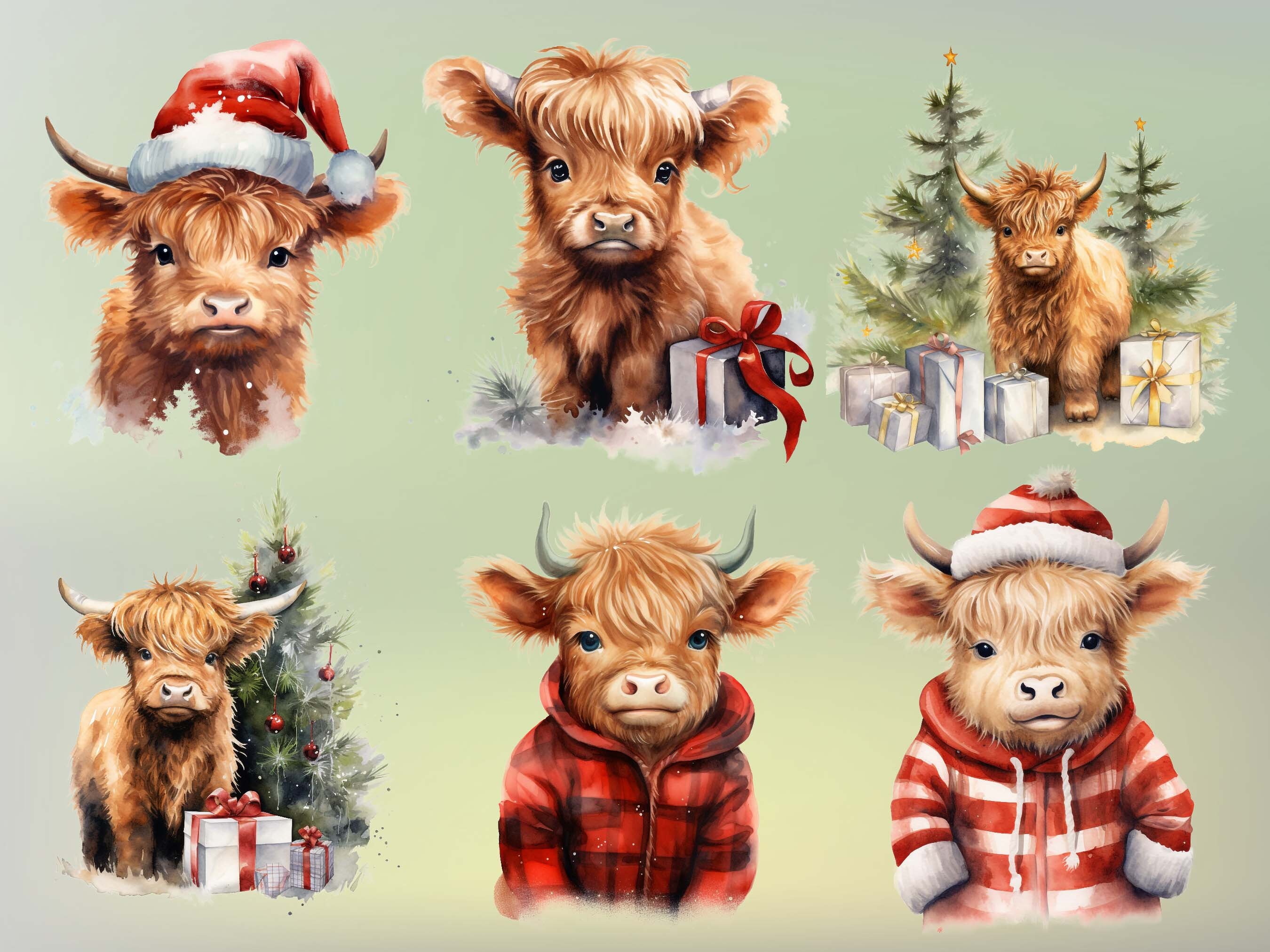 Watercolor Christmas Highland Cows Clipart Bundle 20 PNG Graphics for ...