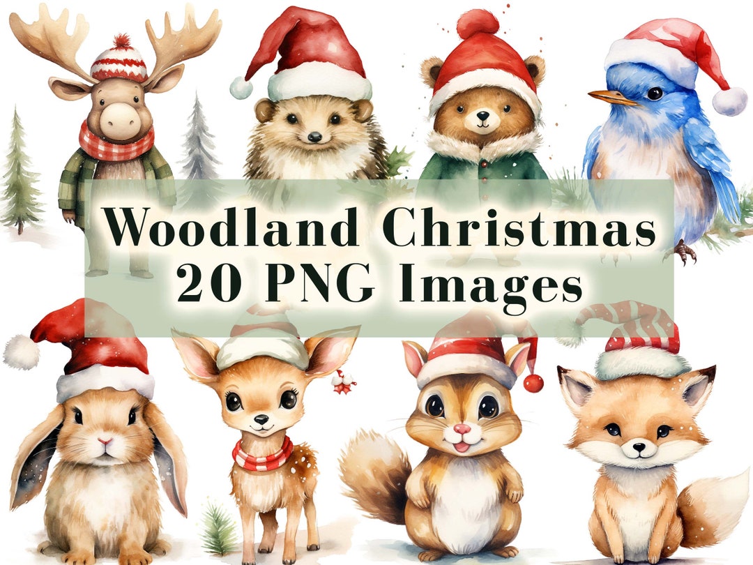 Woodland Christmas Clipart Bundle, 20 PNG, Watercolor Winter, Cute ...