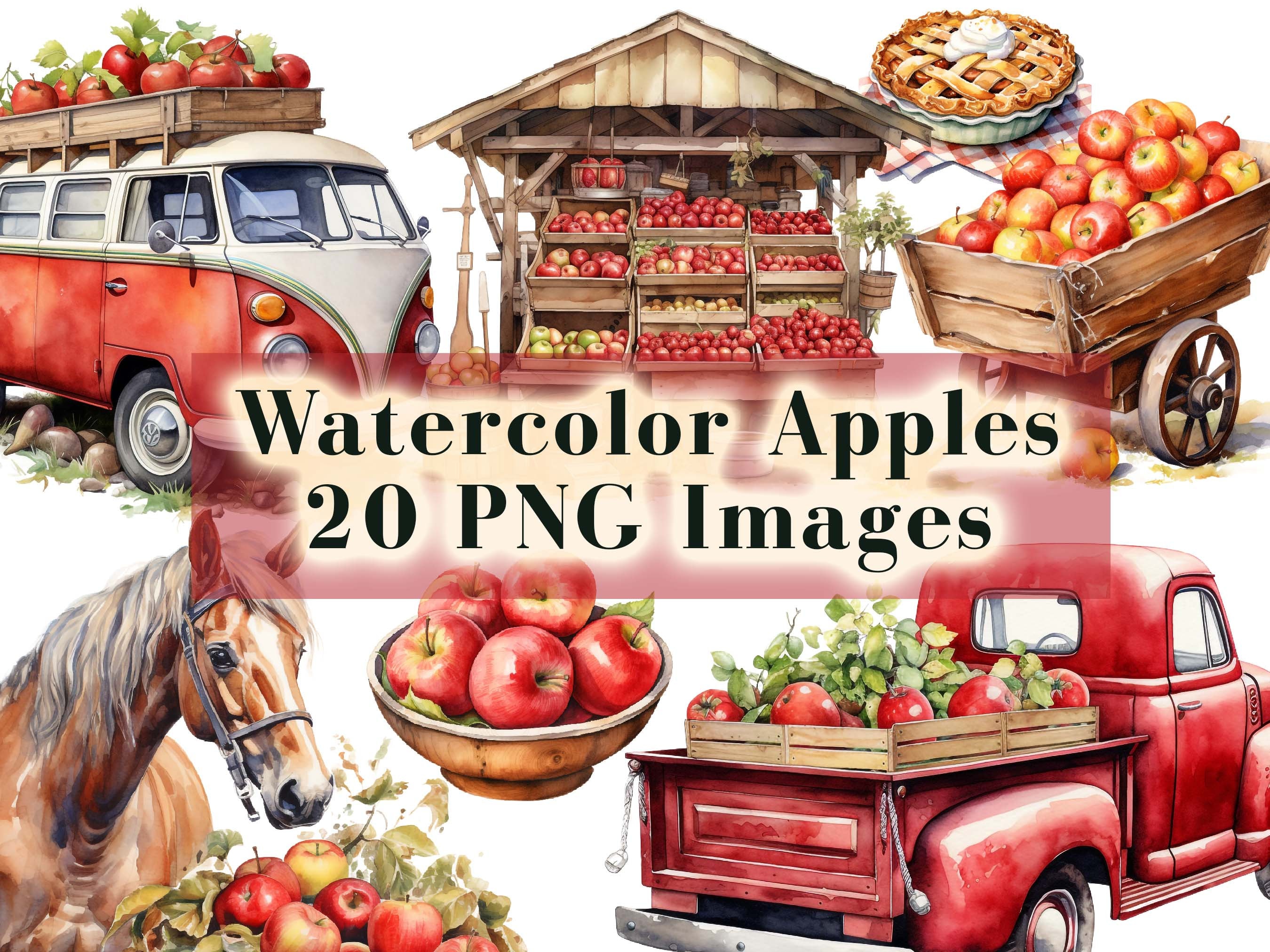 Apple Clipart Bundle 20 PNG Red Watercolor Apple Clip Art, Orchard ...