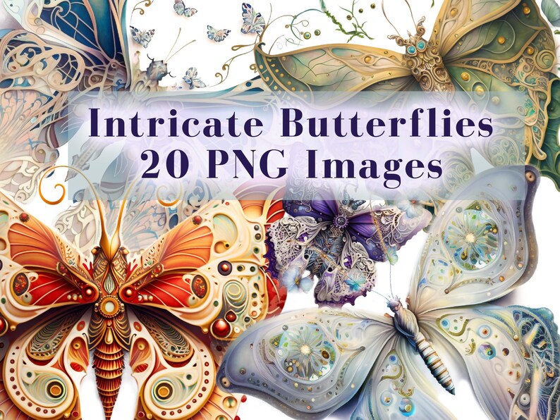 Intricate Butterfly Clipart Bundle - 20 PNG With Transparent Background ...