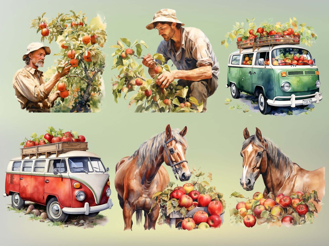 Apple Clipart Bundle 20 PNG Red Watercolor Apple Clip Art, Orchard ...