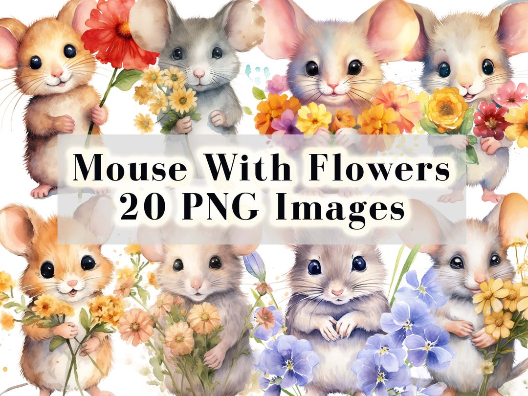 Mouse and Flower Clipart Bundle - 20 High Quality PNG Transparent ...