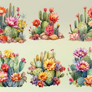 Watercolor Cactus Clipart Bundle 20 PNG, Desert Cactus Clipart ...