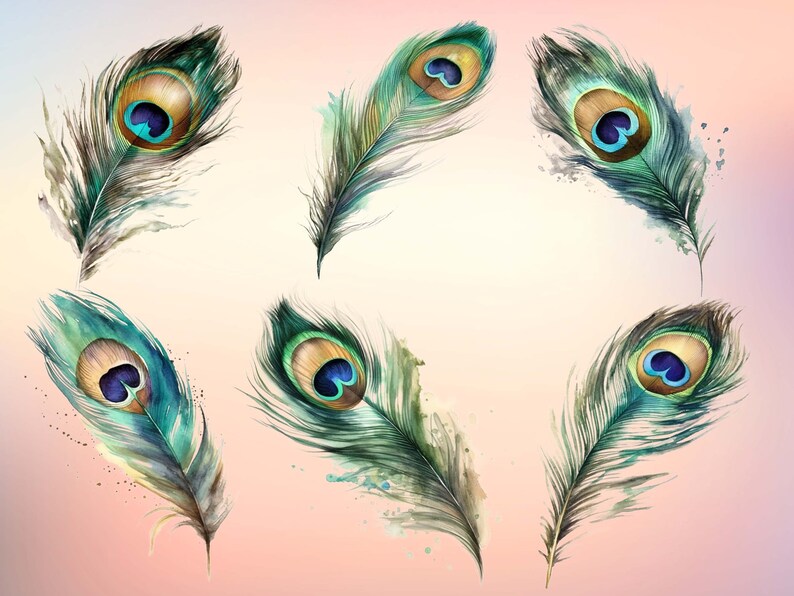 Watercolor Peacock Feather Clipart Bundle, 20 Peacock PNG, Boho Feather ...