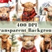 Watercolor Christmas Highland Cows Clipart Bundle 20 PNG Graphics for ...