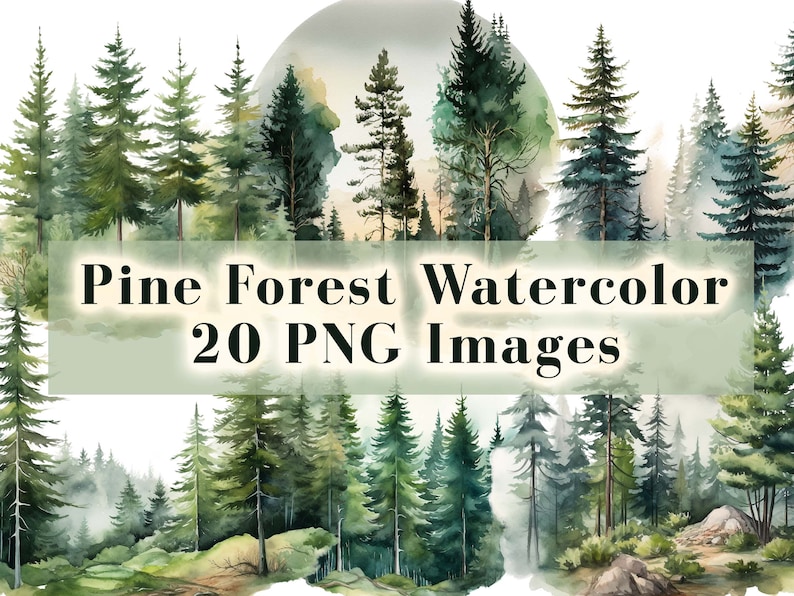 Watercolor Forest Tree Clipart, 20 Pine Tree Png , Woodland Tree ...
