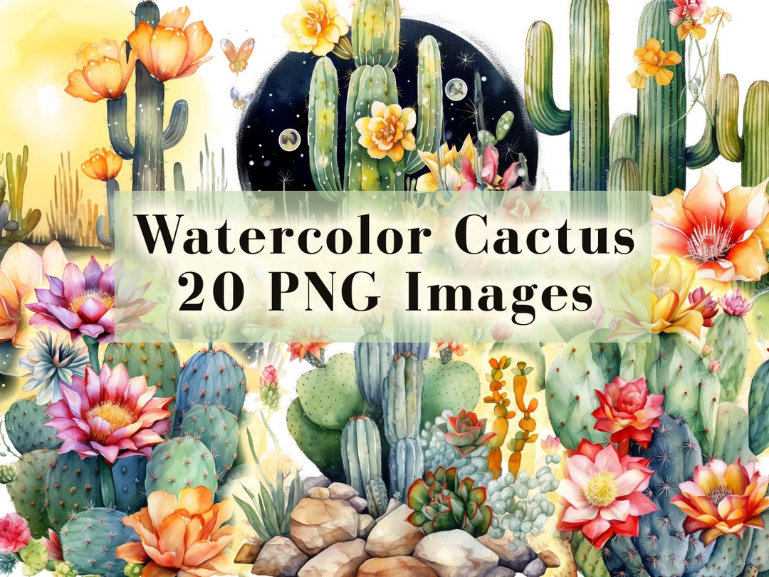 Watercolor Cactus Clipart Bundle 20 PNG, Desert Cactus Clipart ...
