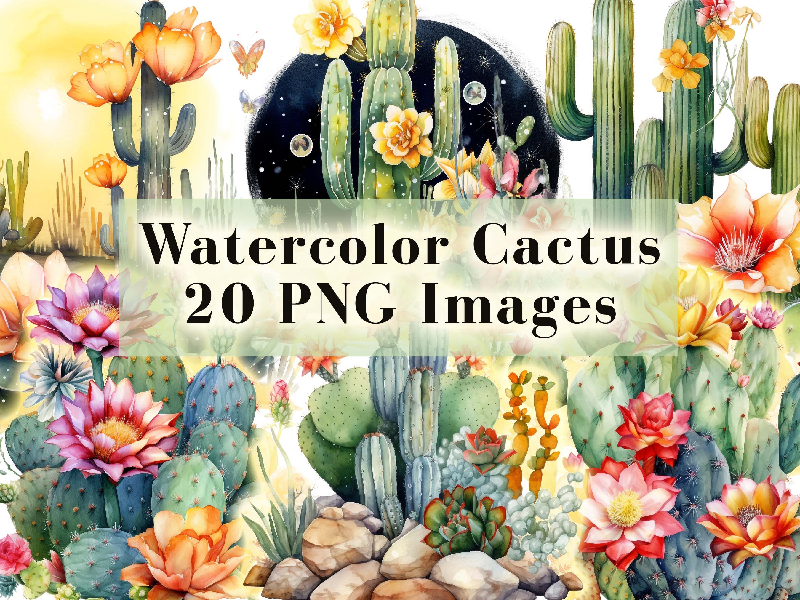 Watercolor Cactus Clipart Bundle 20 PNG, Desert Cactus Clipart ...