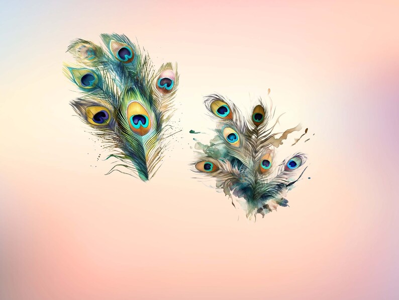 Watercolor Peacock Feather Clipart Bundle, 20 Peacock PNG, Boho Feather ...