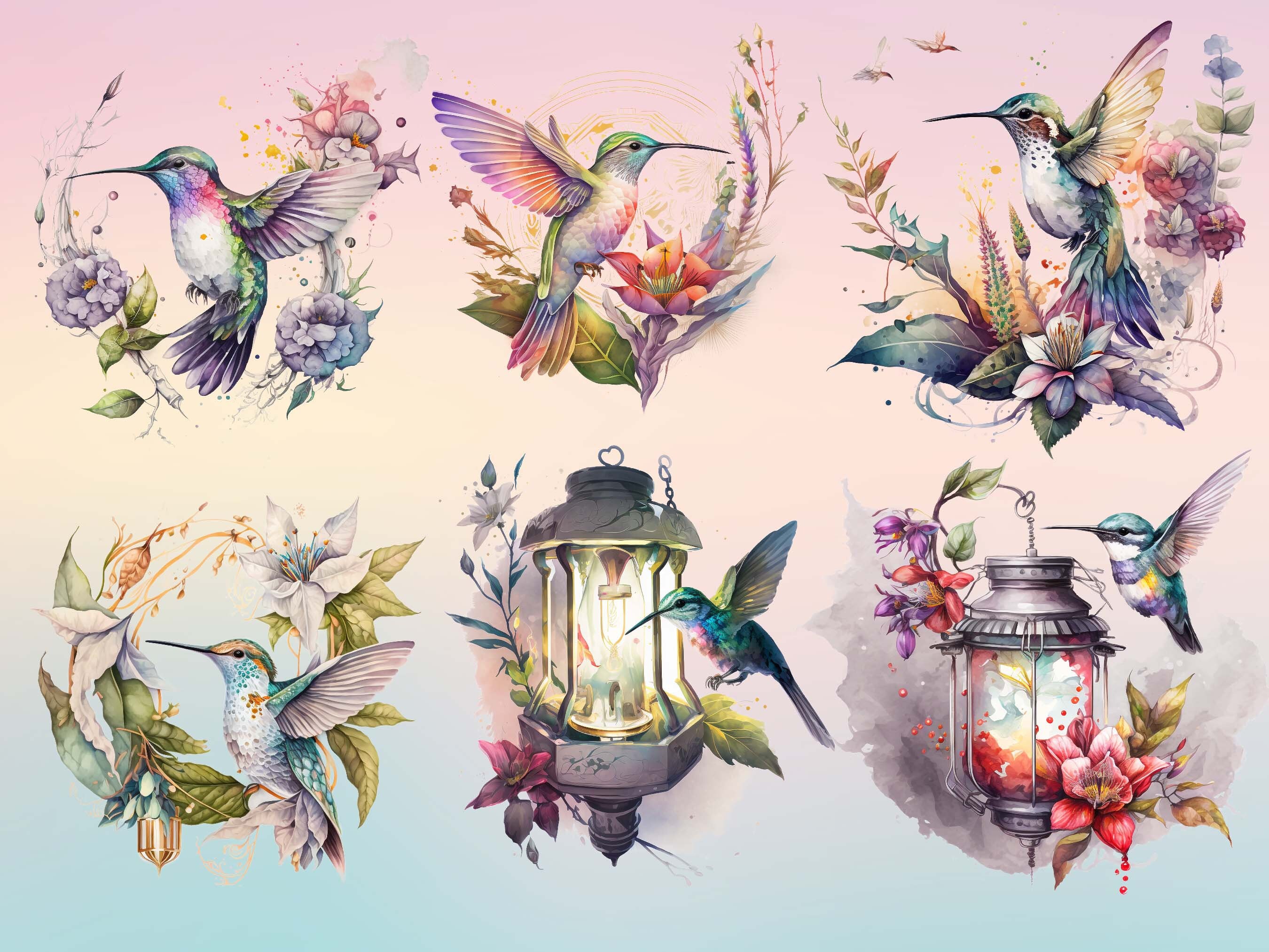 Watercolor Hummingbird Clipart Bundle 20 PNG Illustrations, Crafting ...