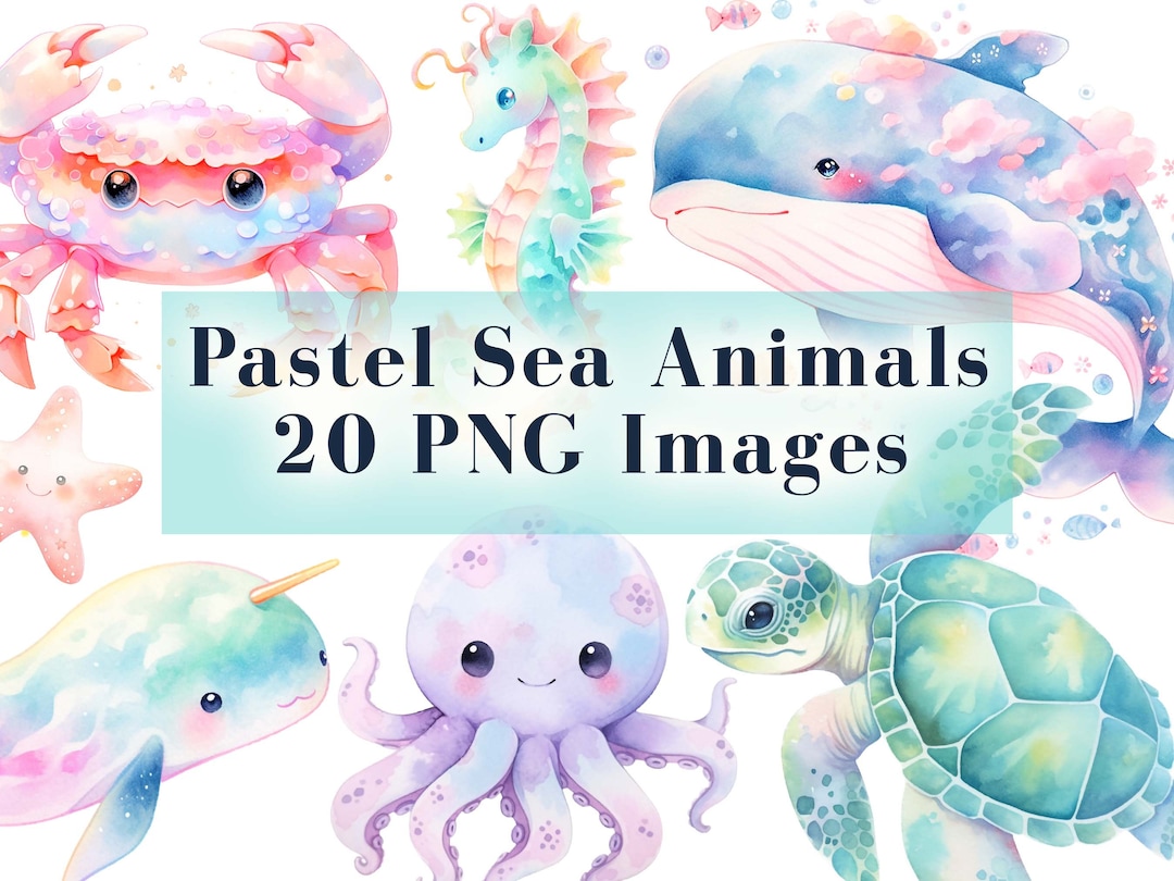 Pastel Sea Animals Watercolor Clipart - 20 PNG, Baby Shower, Ocean ...